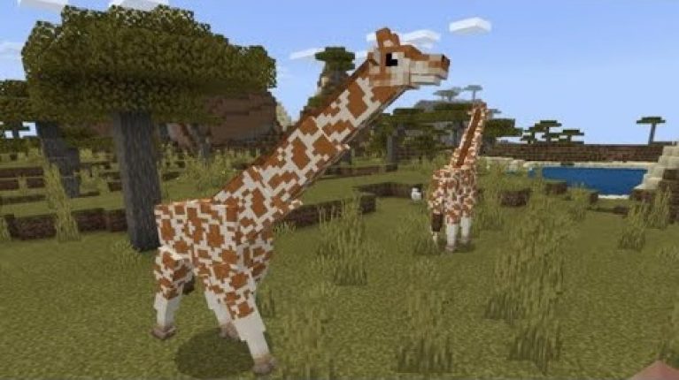 Giraffes Addon | Minecraft PE Bedrock Addons, Minecraft PE Bedrock Mods