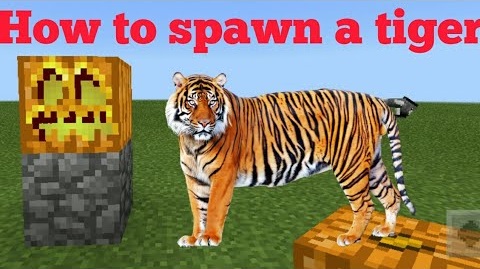 Tiger Addon(Mod) | Minecraft PE Bedrock Addons, Minecraft PE Bedrock Mods