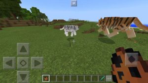 Tiger Addon(Mod) | Minecraft PE Bedrock Addons, Minecraft PE Bedrock Mods