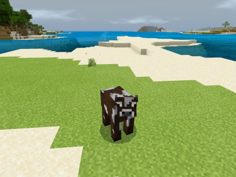 Disguise Function Pack Addon | Minecraft PE Bedrock Addons