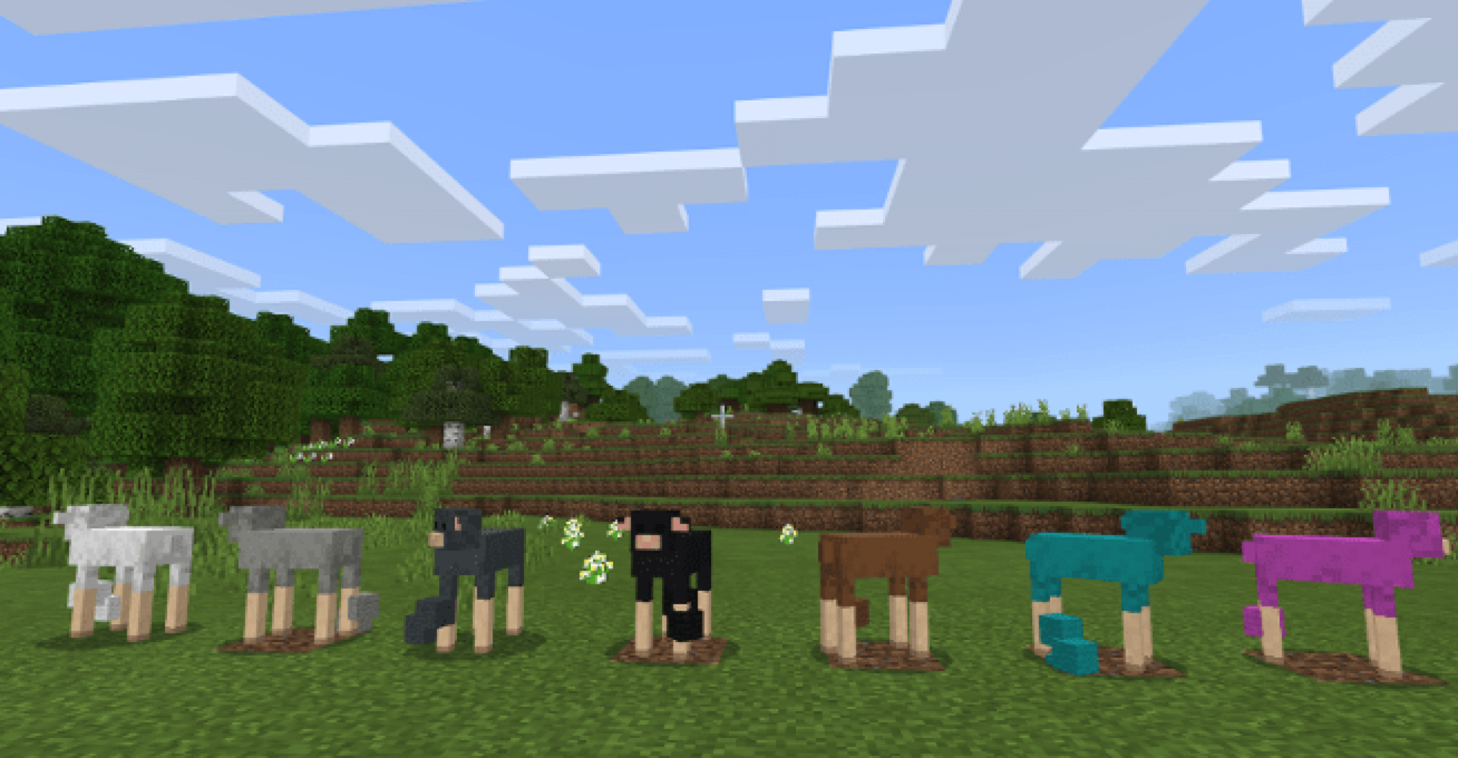 Cuter Vanilla Sheep Addon | Minecraft PE Bedrock Addons