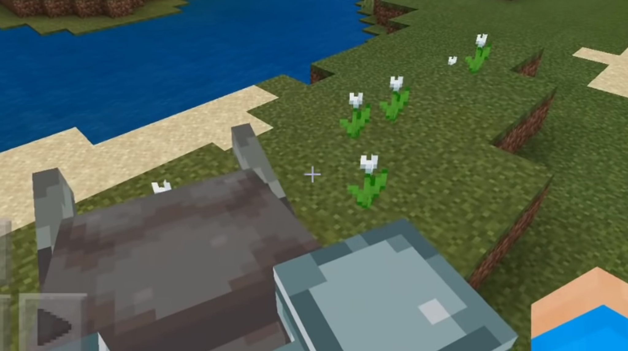 Taming++ Mod | Minecraft PE Bedrock Mods