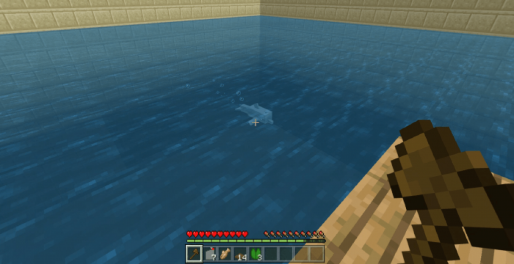 CT The RAFT Map | Minecraft PE Bedrock Maps