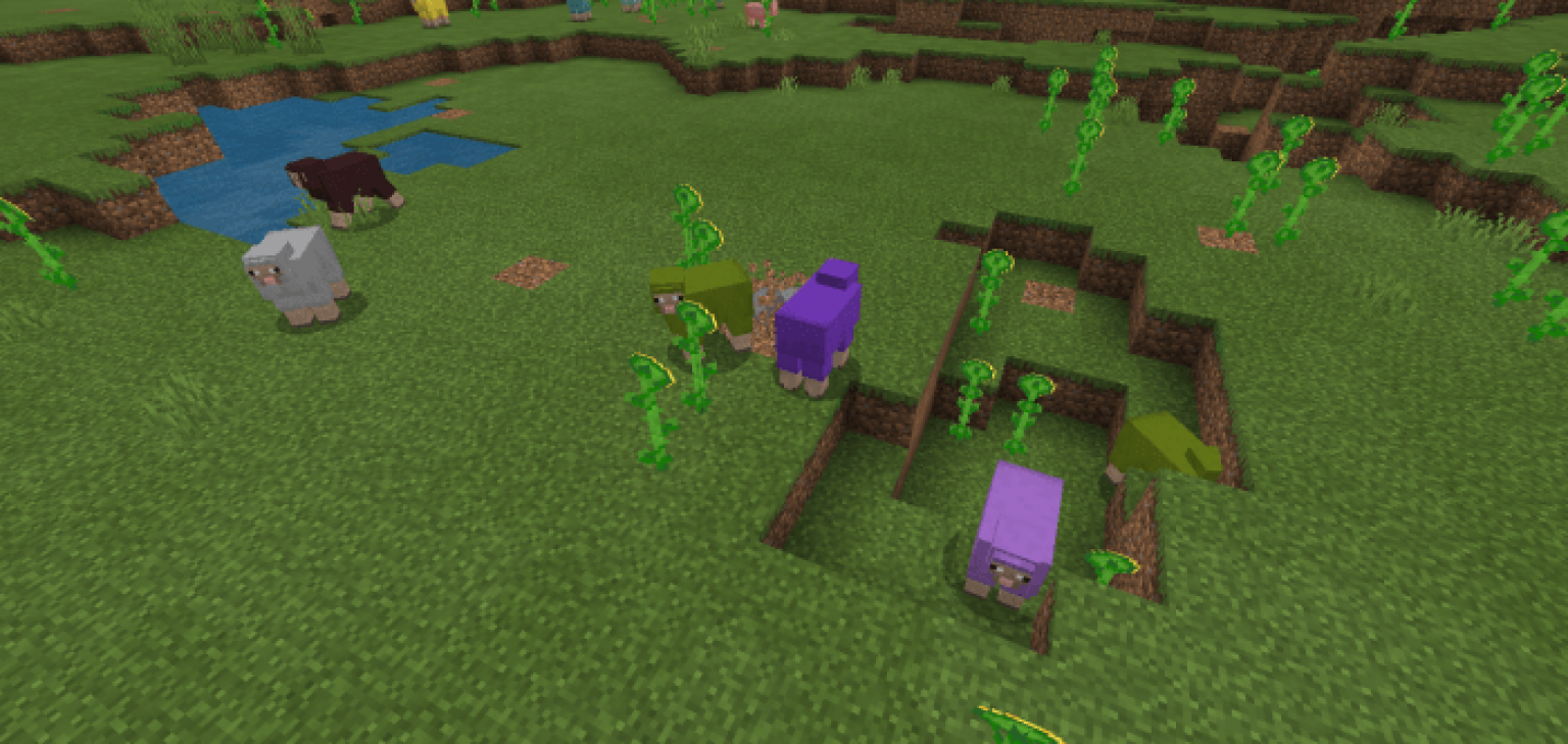 CursedCraft Map | Minecraft PE Bedrock Maps