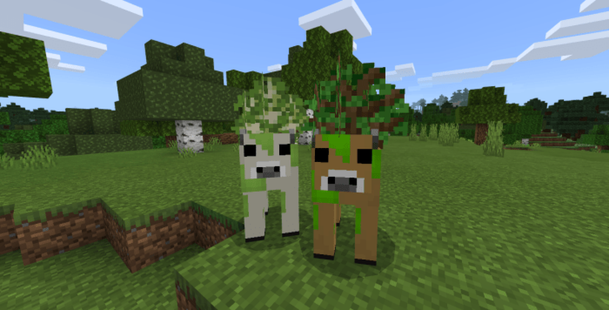 More Moo Mod | Minecraft PE Bedrock Mods